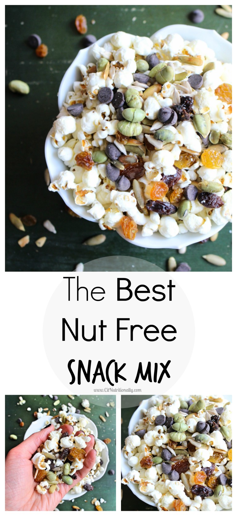 The Best Nut Free Snack Mix - Chelsey Amer